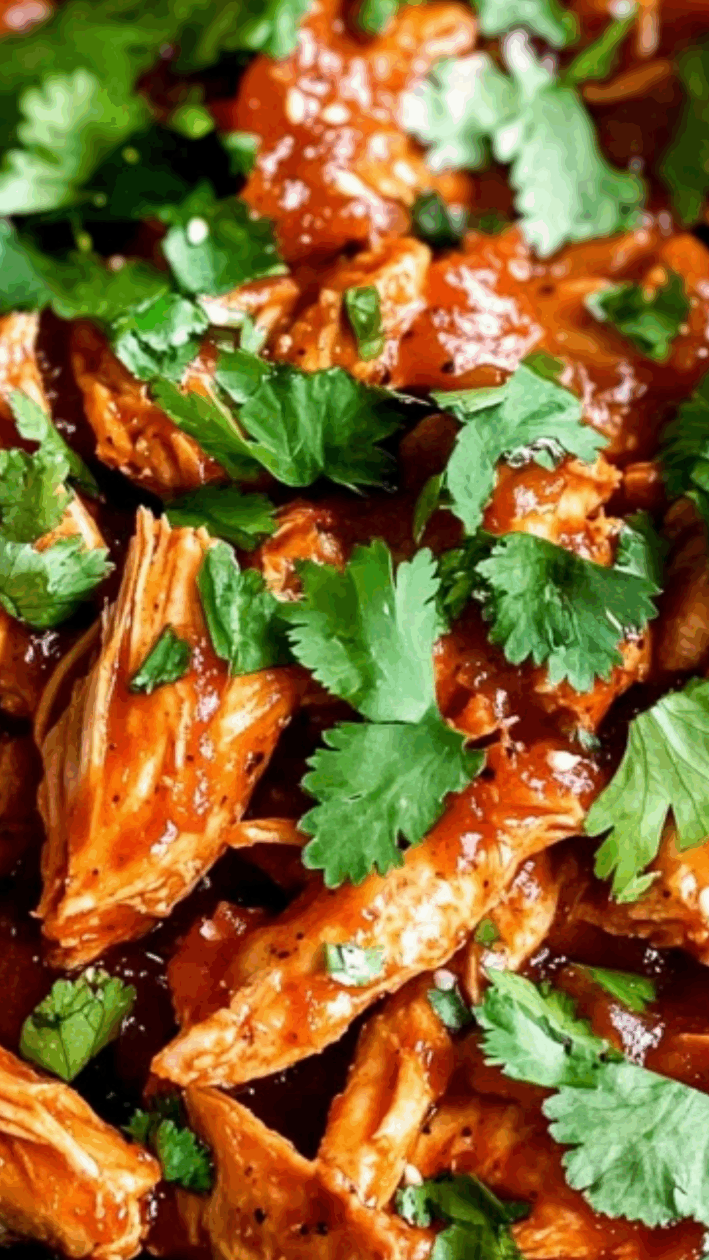 Authentic Chicken Tinga: A Flavorful Mexican Classic – Ina Recipes